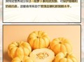 北瓜图片长什么样_北瓜的功效与作用有哪些