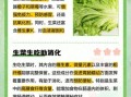 生菜的功效与禁忌_哪些人不能吃生菜