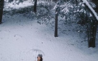 冬天图片大全_如何拍出雪景氛围感