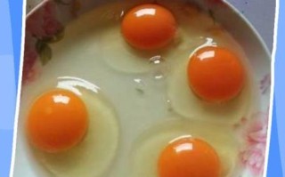 土鸡蛋的蛋黄是什么颜色_土鸡蛋蛋黄颜色越深越好吗