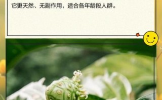 酵素有什么副作用_酵素副作用有哪些