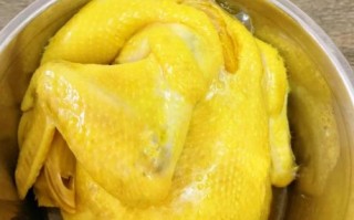 鸡的做法大全图解_家常鸡怎么做好吃