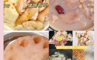 猪脚炖藕怎么做_藕炖猪脚需要焯水吗