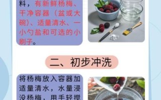 杨梅怎么洗才能洗干净虫子_杨梅有虫怎么办