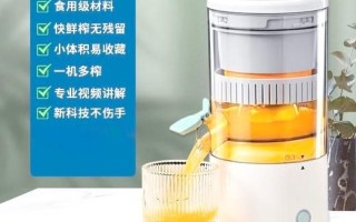 鲜榨果汁机多少钱一台_家用小型果汁机价格