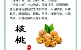小核桃的功效与作用_小核桃一天吃多少合适