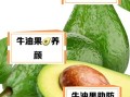 牛油果的营养价值骗局_牛油果真的健康吗
