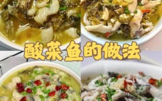 酸菜鱼怎么做才好吃_正宗酸菜鱼的做法和步骤窍门