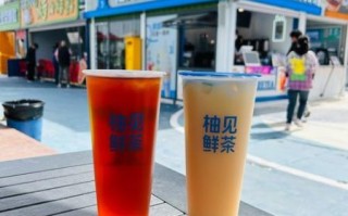 柚见鲜茶加盟费用_柚见鲜茶怎么样