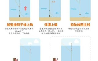 钓鲫鱼用什么饵料_钓鲫鱼怎么调漂