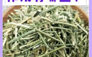 穿心莲图片长什么样_穿心莲的功效与作用有哪些