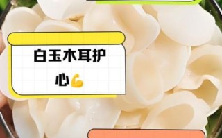 木耳的功效与作用_木耳的禁忌和食用方法