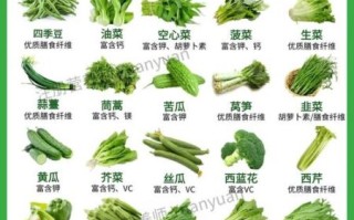 绿色蔬菜有哪些_哪些蔬菜最健康