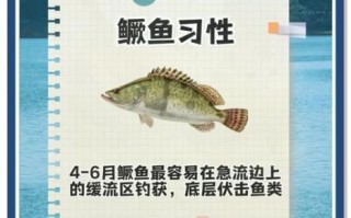 钓鳜鱼口诀是什么_钓鳜鱼口诀怎么用