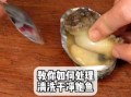 鲍鱼怎么洗最快最干净_鲍鱼清洗技巧