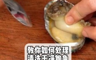 鲍鱼怎么洗最快最干净_鲍鱼清洗技巧