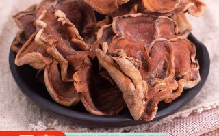 榆耳菌多少钱一斤_榆耳菌价格行情