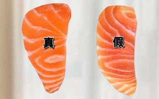 虹鳟鱼和三文鱼怎么区别_虹鳟鱼是三文鱼吗