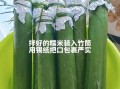 竹筒饭怎么做好吃_竹筒饭做法步骤