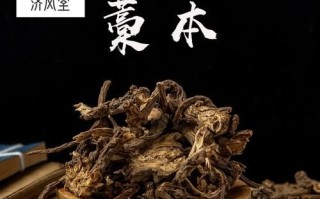 西芎是什么_西芎功效与作用有哪些