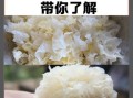 银耳为什么不能天天吃_银耳吃多了有什么副作用
