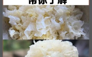 银耳为什么不能天天吃_银耳吃多了有什么副作用