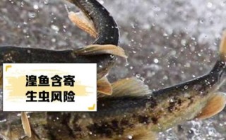 青海湟鱼怎么做好吃_青海湟鱼的家常做法