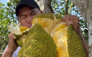 菠萝蜜视频国际加速通道怎么用_海外访问卡顿怎么办