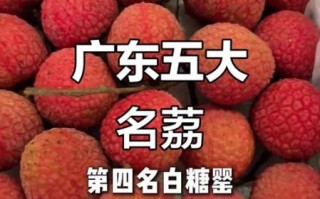 广东荔枝品种有哪些_哪种最好吃