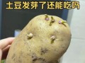 土豆发芽吃了中毒症状_发芽土豆中毒怎么办