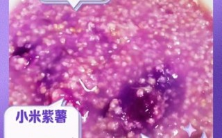 紫薯小米粥的功效与作用_紫薯小米粥能减肥吗