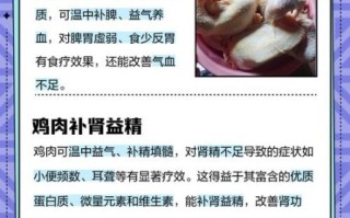 鸡肉的营养价值_鸡肉的功效与作用