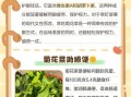 菊花菜怎么做好吃_菊花菜营养价值