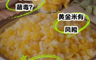 黄金大米的好处和危害_转基因食品安全吗