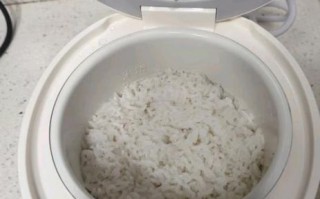 小型电饭锅20元能买吗_20元电饭锅好用吗