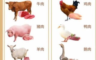红肉和白肉的区别是什么_哪个更健康