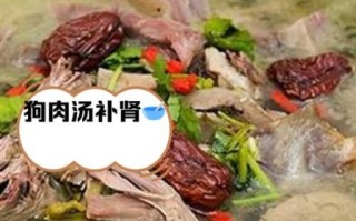 狗肉煲怎么做才好吃_狗肉煲的家常做法