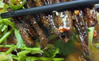 黄鳝段怎么做好吃_黄鳝段做法大全