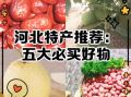 河北最有名的土特产有哪些_河北特产送人推荐