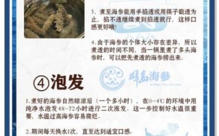盐渍海参怎么泡发_盐渍海参泡发多久