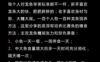 龙鱼怎么养_龙鱼饲养常见问题