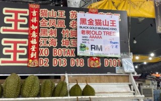 榴莲价格多少钱一斤_榴莲为什么这么贵
