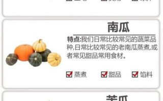 常见瓜类图片及名称大全_如何区分相似瓜类