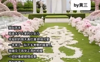 祁正为什么喜欢夏藤_酸梅小说结局是什么