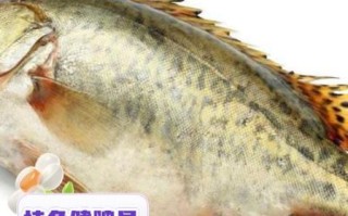 桂鱼的营养价值及功效禁忌_孕妇能吃吗