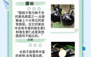 茄子有什么营养价值_茄子功效与作用有哪些