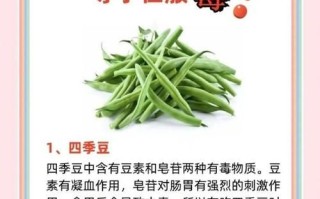 四季豆有毒吗_四季豆中毒怎么办
