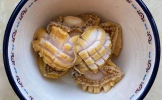 鲍鱼怎么清理内脏_鲍鱼内脏清理视频全过程