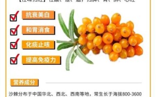 沙棘果的功效与作用适合人群_沙棘果什么人不能吃