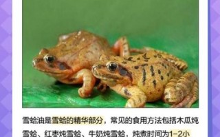 雪蛤为什么残忍_雪蛤制作过程真相